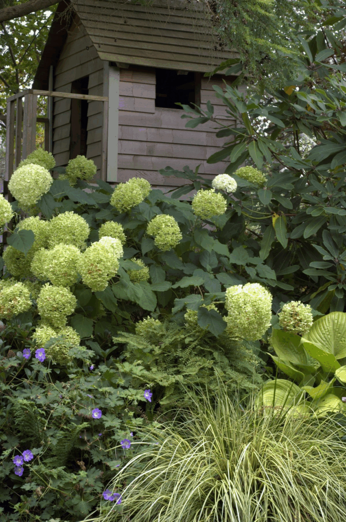 20 Best Green Flowers To Add To Your Garden